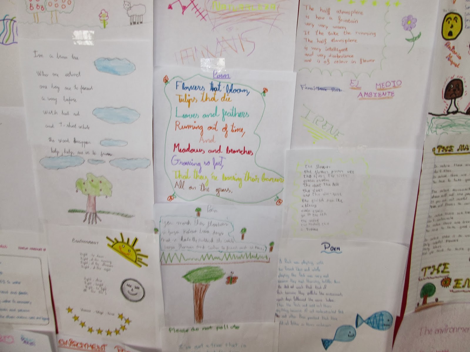 Children Protecting the Planet: Environment Poems (Spain)