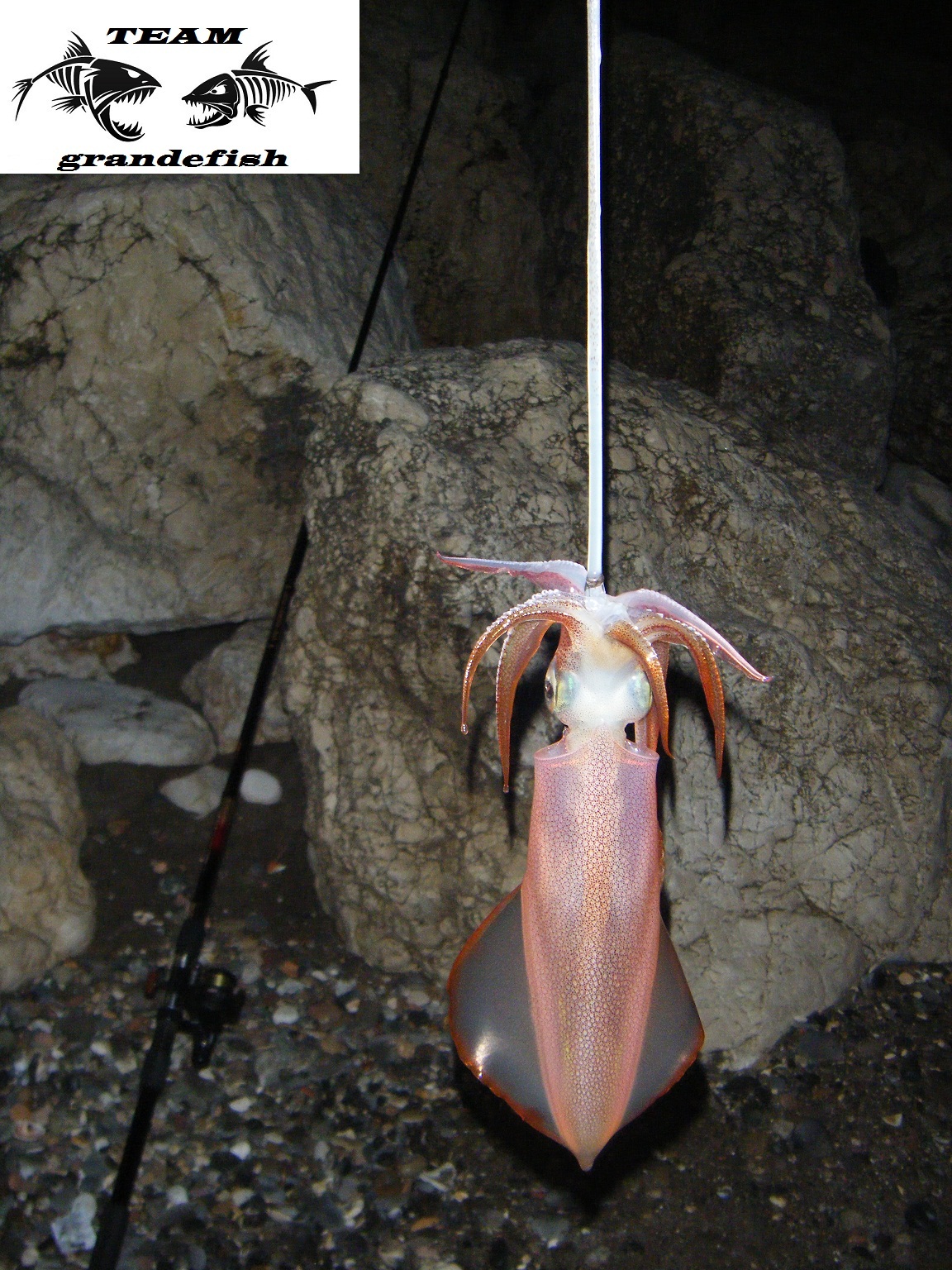 Surfcasting Spinning Captura y Suelta Desde Granada: LA PESCA DEL ...