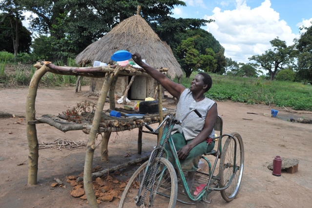 DiSU: Poverty and Disability