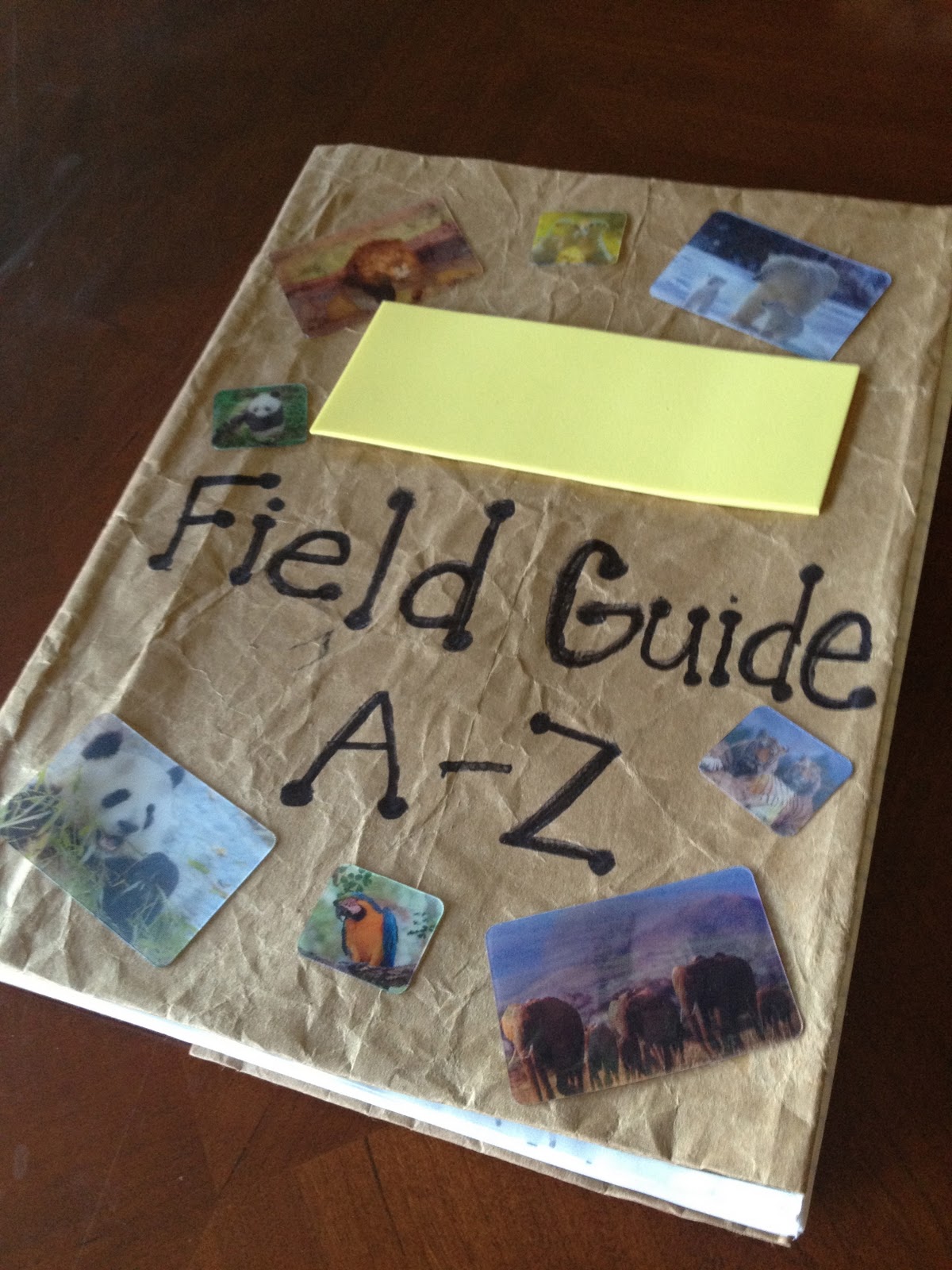 Rosey Glasses: How To: Make Your Own Field Guide