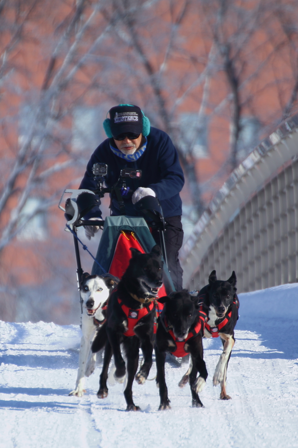 JDDCスタッフブログⅡ