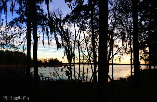 3 Reasons to Visit Three Rivers State Park | Oz the Terrier - Lifestyle ...