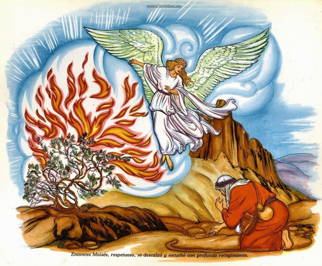 TEOLOGÍA DE MENOS A MAS: LA ZARZA