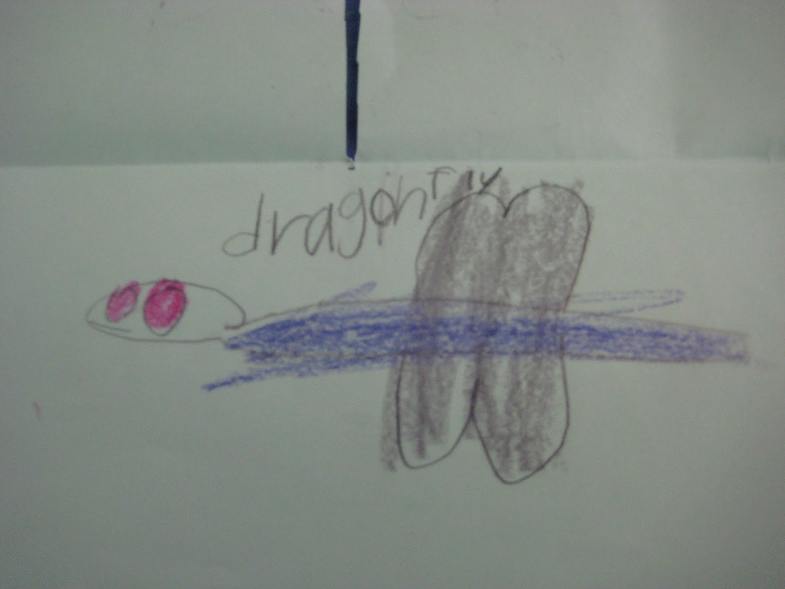 Finally in First: Compound Words