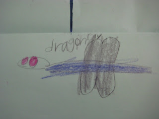 Finally in First: Compound Words