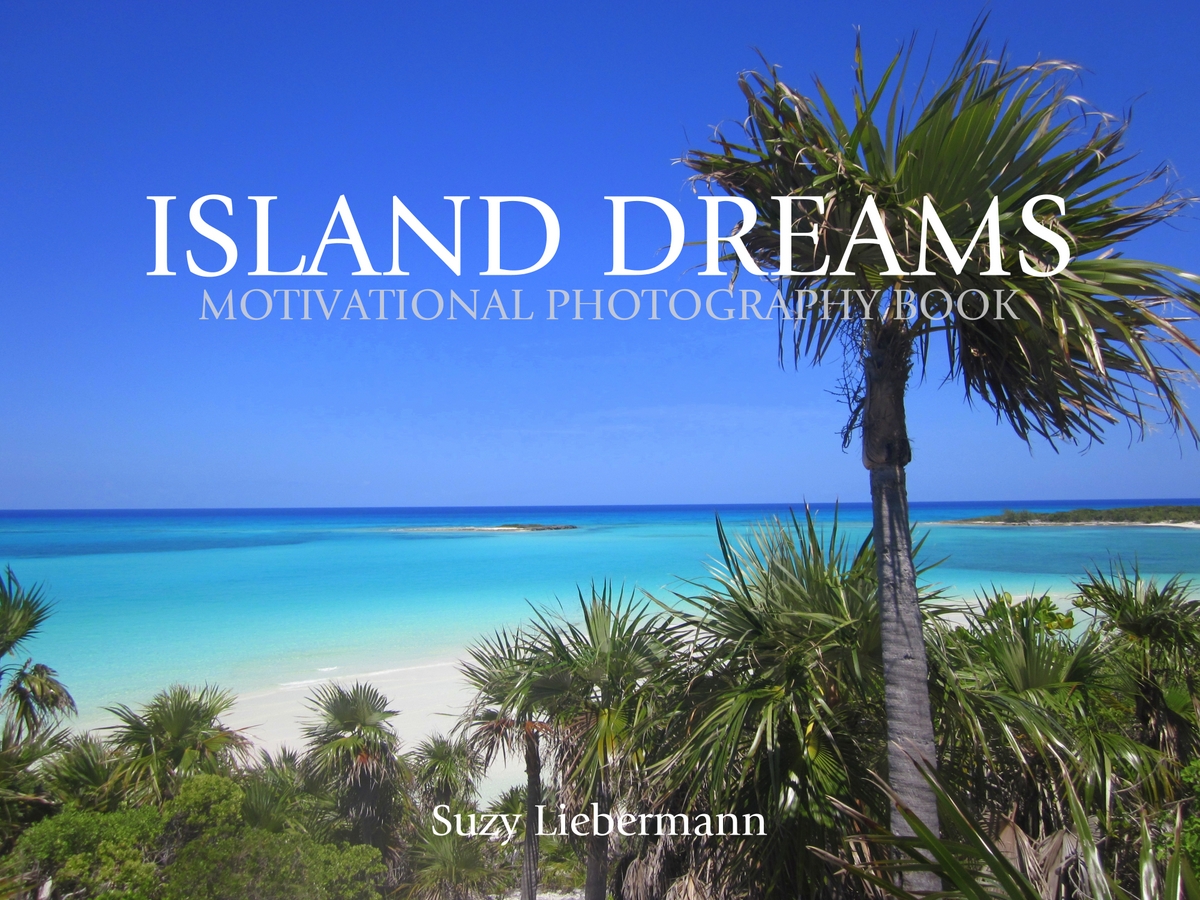 Casually Cassi: Book Review: ISLAND DREAMS by Suzy Liebermann