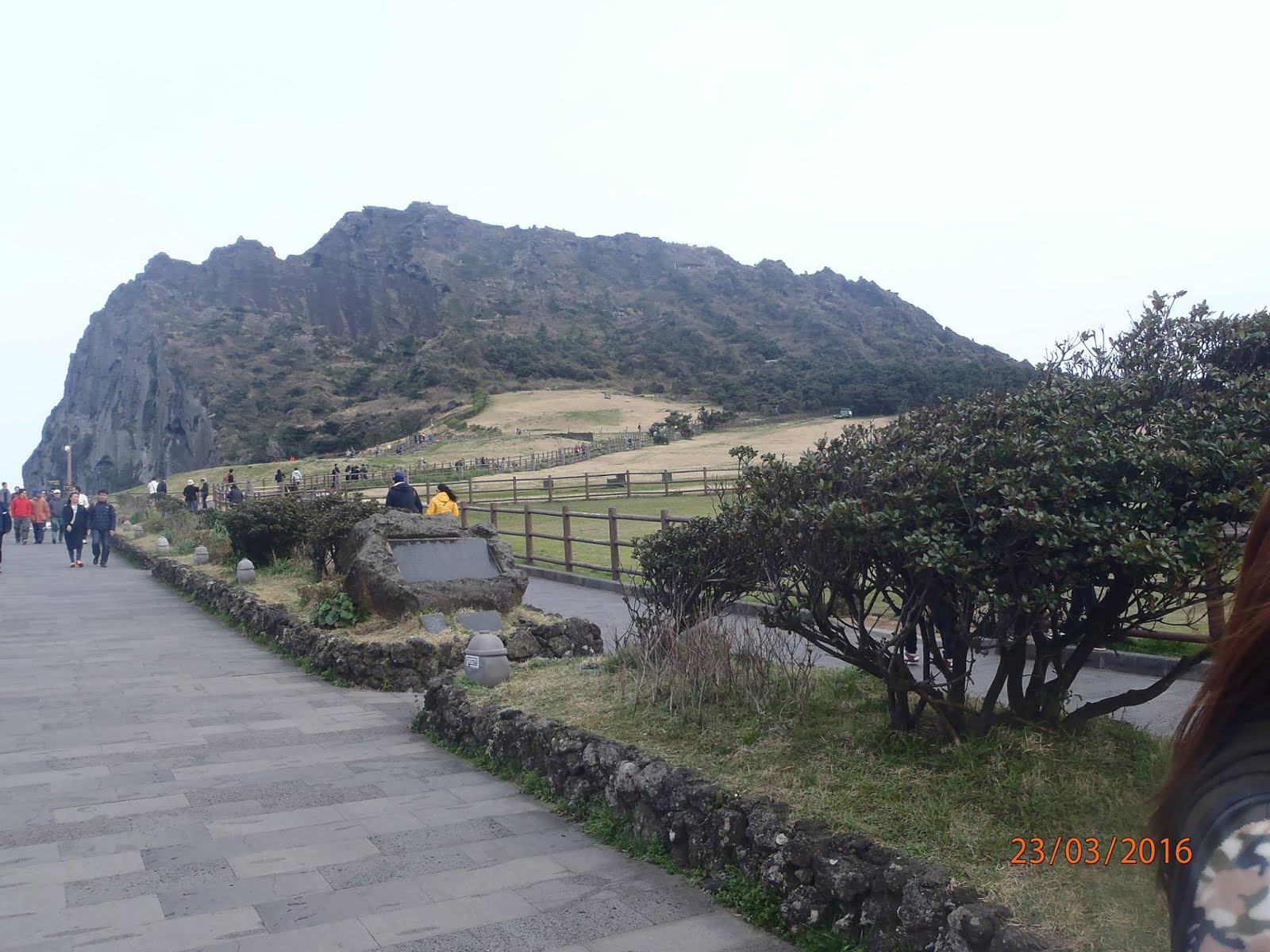 Everything........Korea! Korean! :): Cheongsong Apple Festival (청송사과축제)