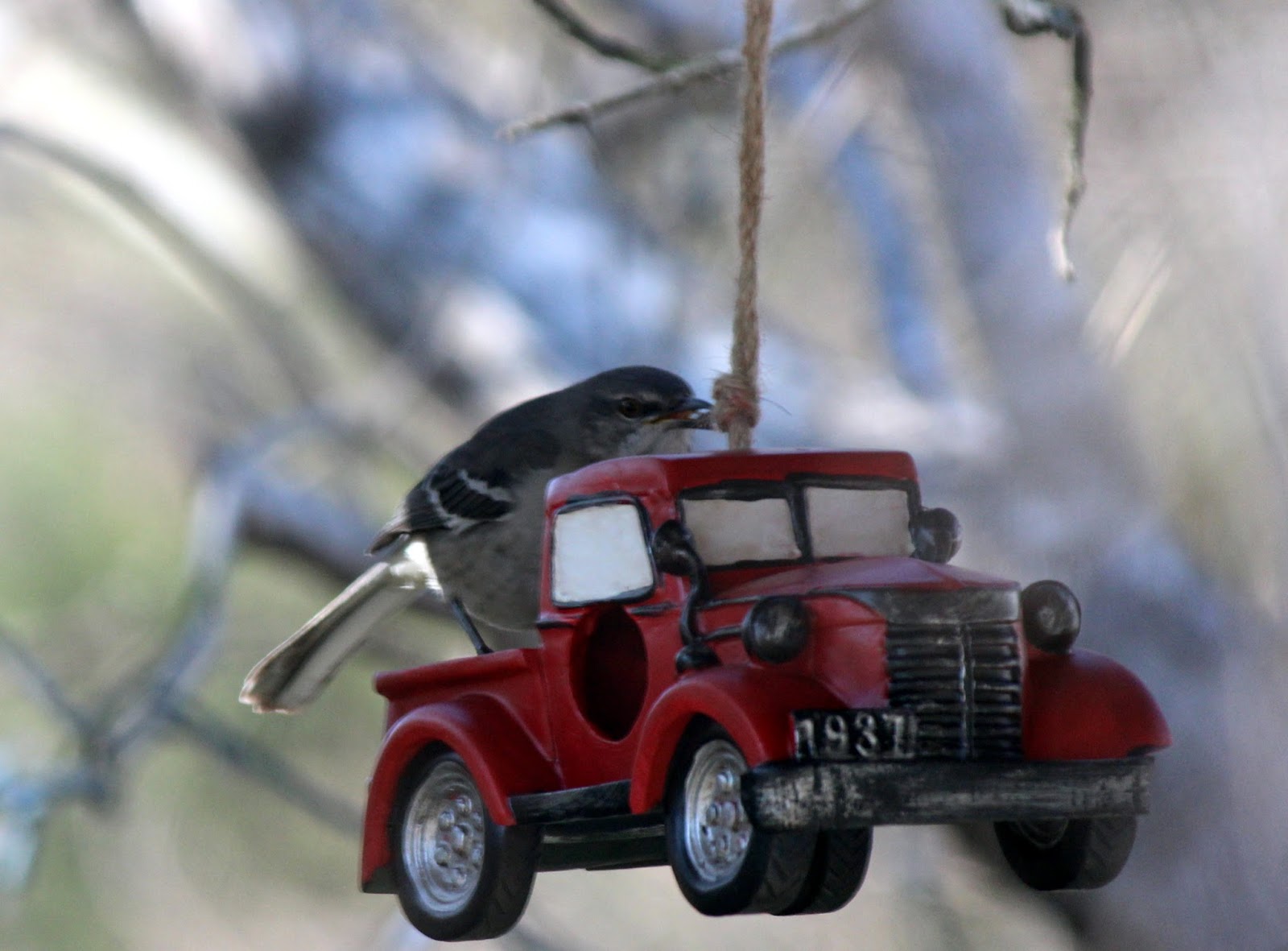 GypsyFarmGirl: Red Trucks and Birds