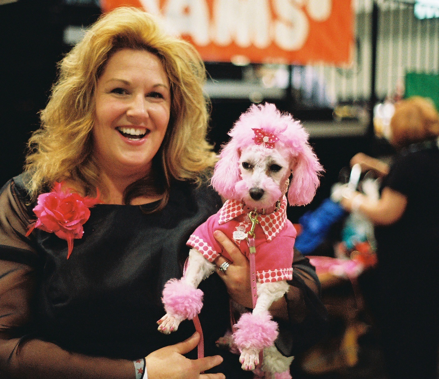 And I Think to Myself...What A Wonderful World.: Theme Week for ...