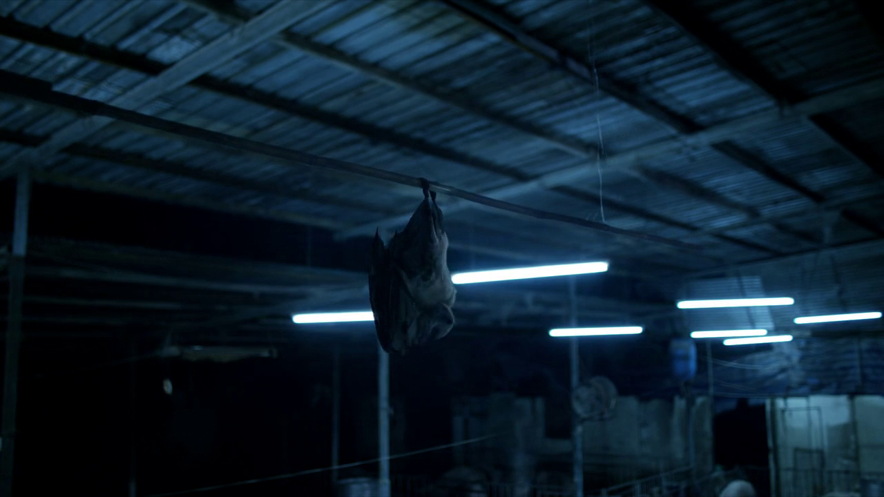 The Pop Culture Cynic: Battle of the Blockbusters: Contagion vs The Flu