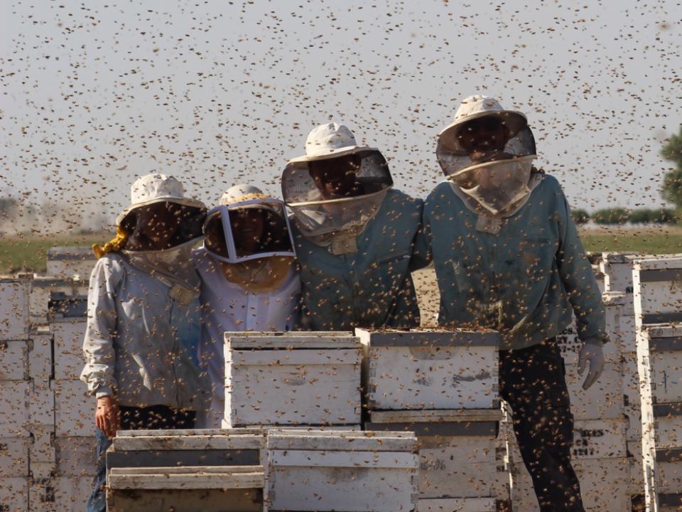 Seppi Blog: Harvesting Honey Photos by Rhonda Perry and Bethany Reeder