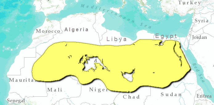 SAHARA DESERT : WHAT IN THE WORLD DOES THE SAHARA LOOK LIKE?!