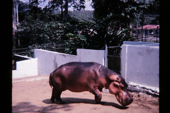 Moved 2 Monrovia: Liberia '77 Photos: Out of Town