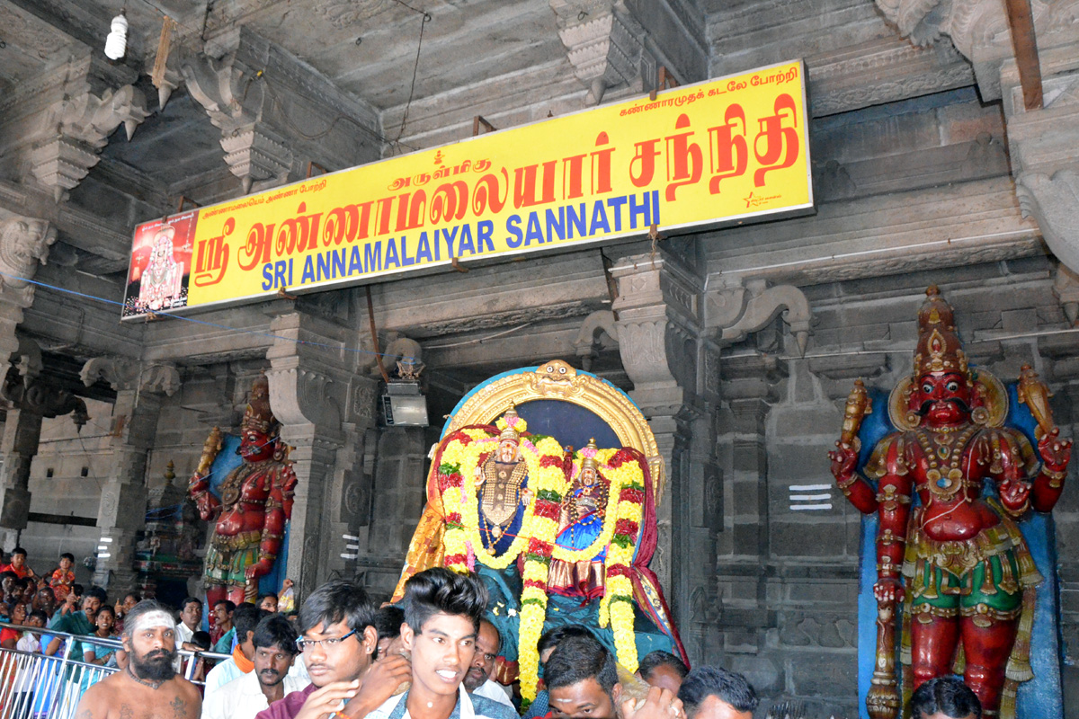 Uthrayana puniyakalam 2016: Thamari Kulam - ARUNACHALA GRACE