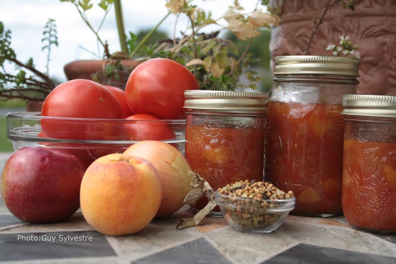 Passeport-Cuisine: Ketchup aux fruits