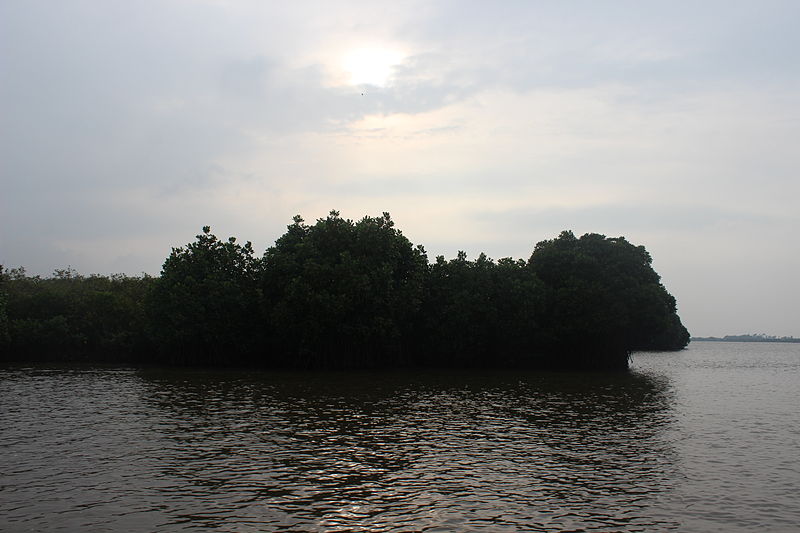 Tamilnadu Tourism: PICHAVARAM