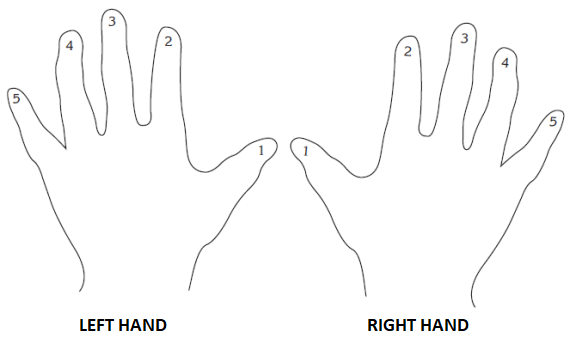 Understanding Music, Learn Music, Music Theory