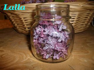 Magica Natura: IL LILLA'