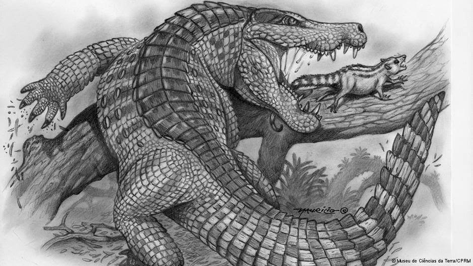 Palaeos, la historia de la Vida en la Tierra: Nueva especie de ...