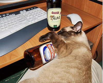 Cool Photo Pict: Animals loving alcohol | Beer drinking animals ...