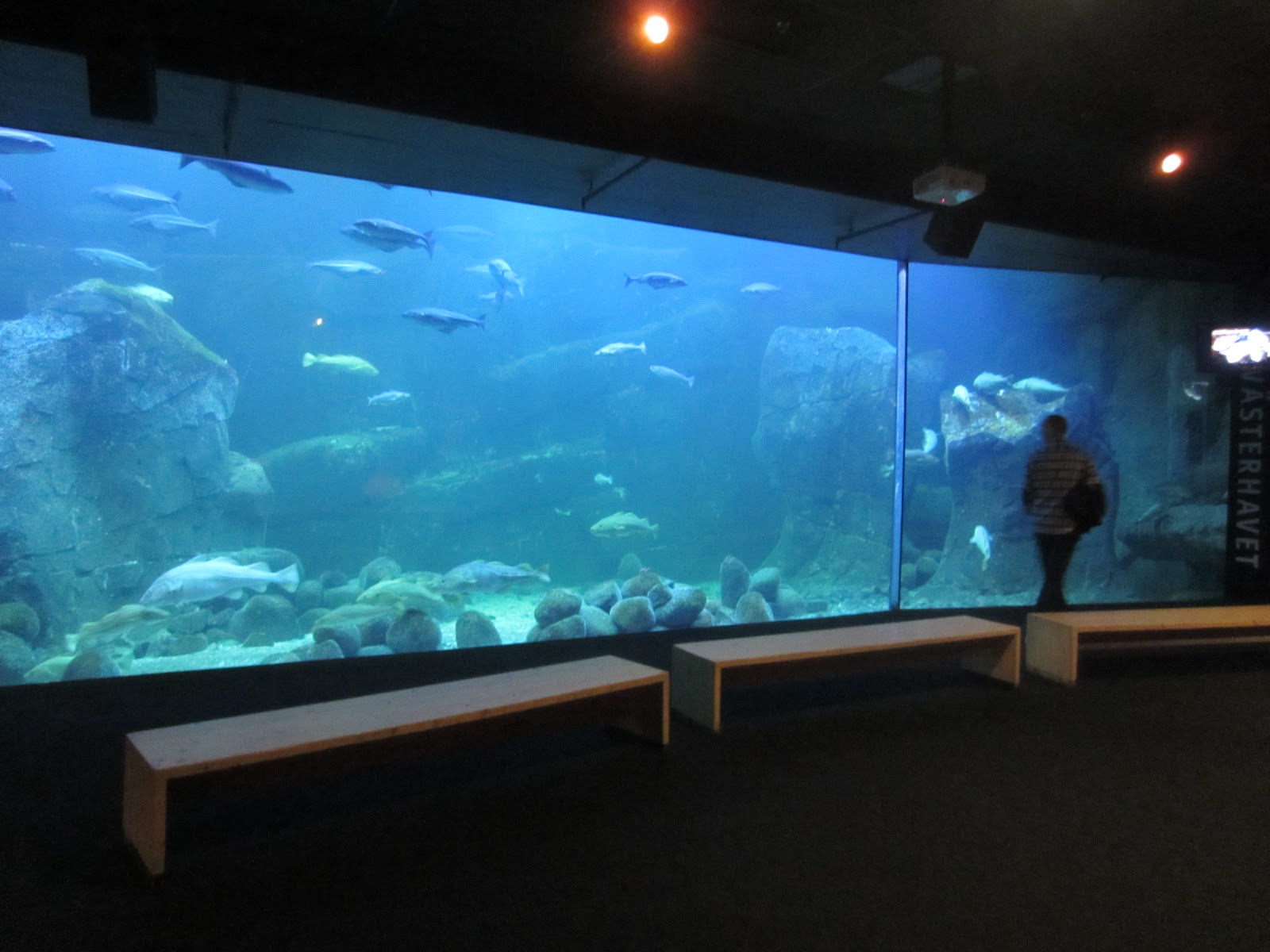 RENeW: Spectacular Photos from the Science Museum in Gothenburg, Sweden