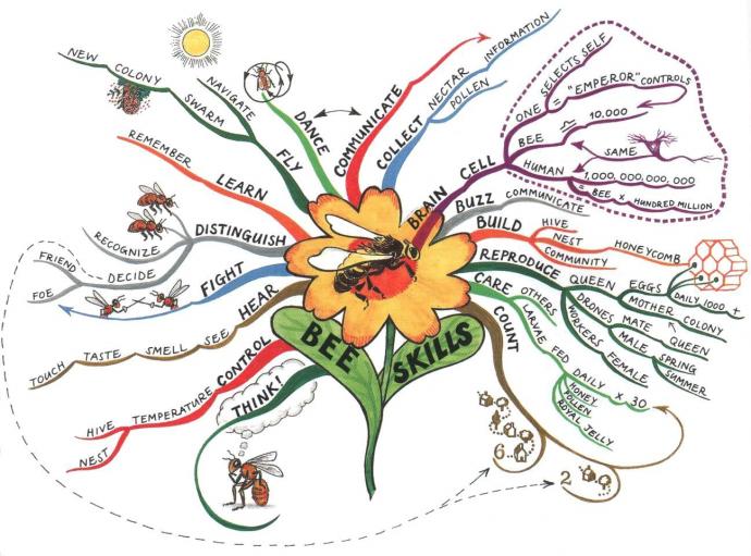 MIND MAPPING : Model-Model Pembelajaran Efektif bag.4 | INFO PENDIDIKAN ...