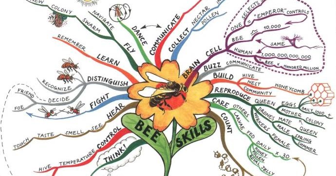 Mind Mapping : Model-Model Pembelajaran Efektif Bag.4 | Penelitian Tindakan Kelas (PTK) dan ...