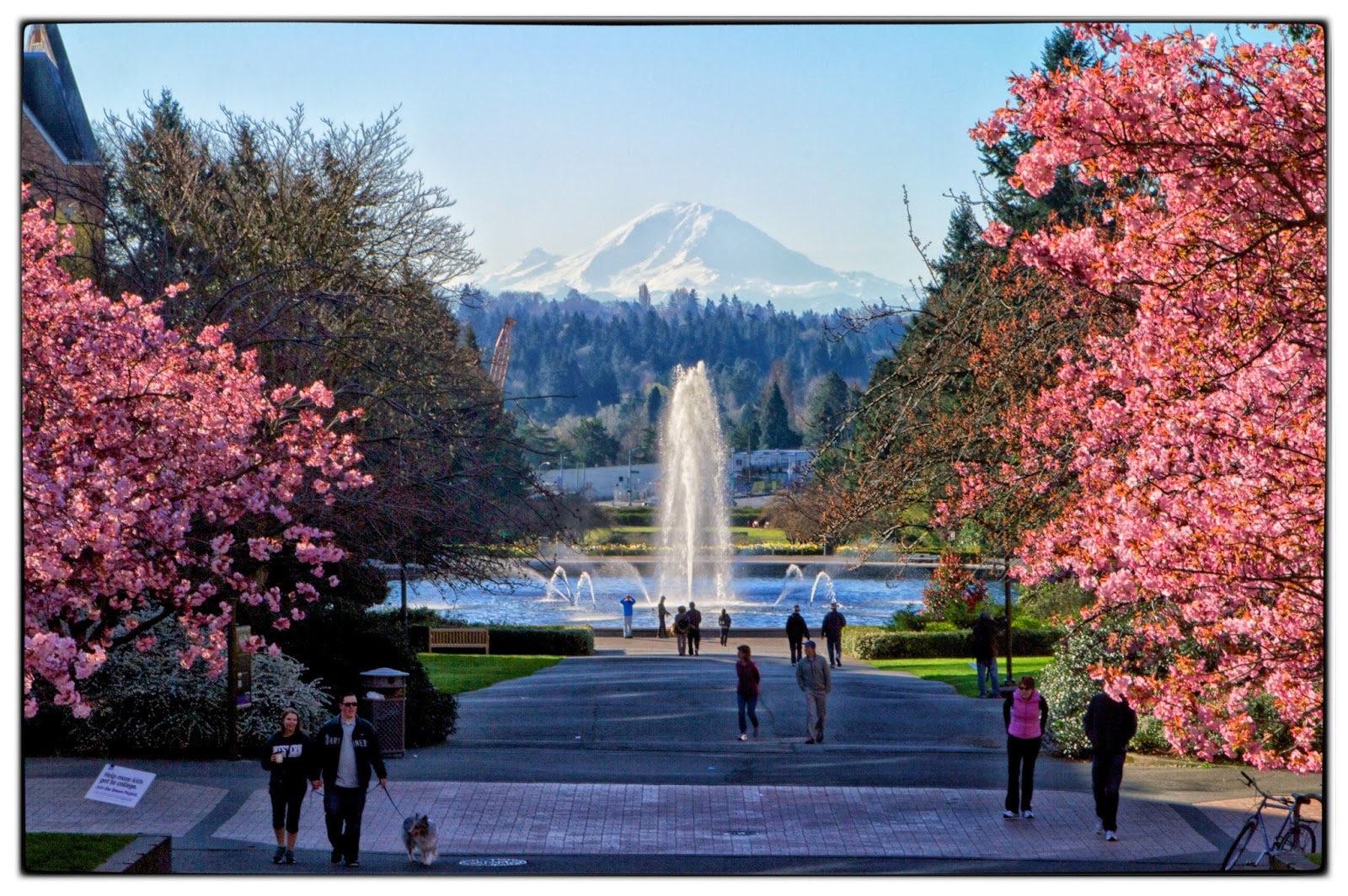 Cliff Mass Weather and Climate Blog: Seattle and Western Washington ...