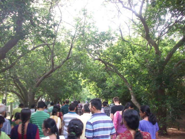 Trees of Kalakshetra | My Travelogue - Indian Travel Blogger, Heritage ...