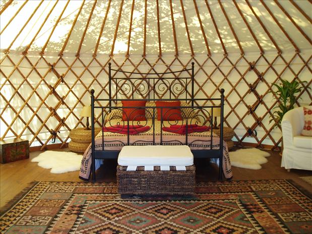 Through Open Eyes: Yurt vs. Cob