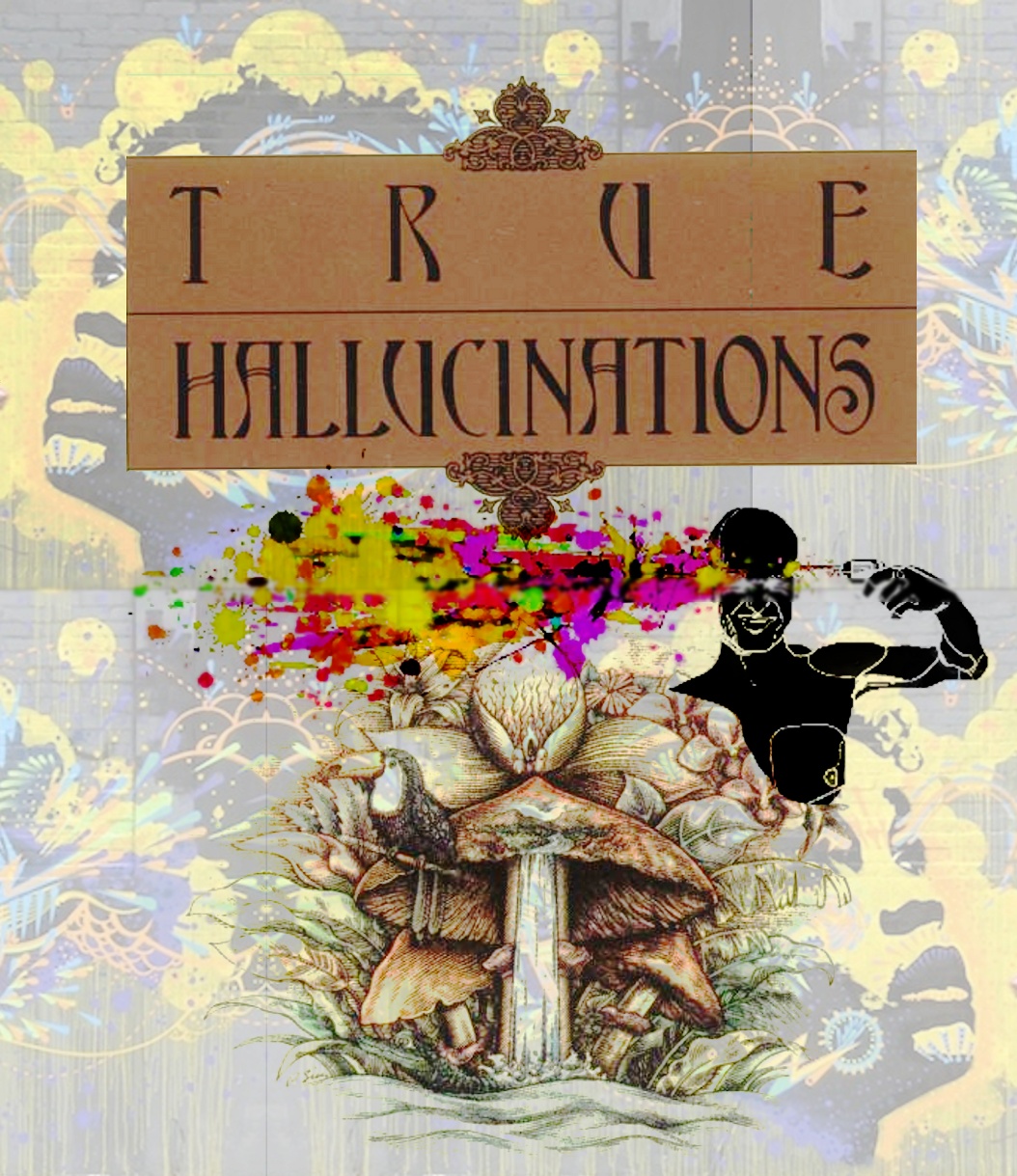 (audiobook) True Hallucinations - Terence McKenna