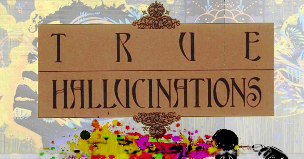 (audiobook) True Hallucinations - Terence McKenna