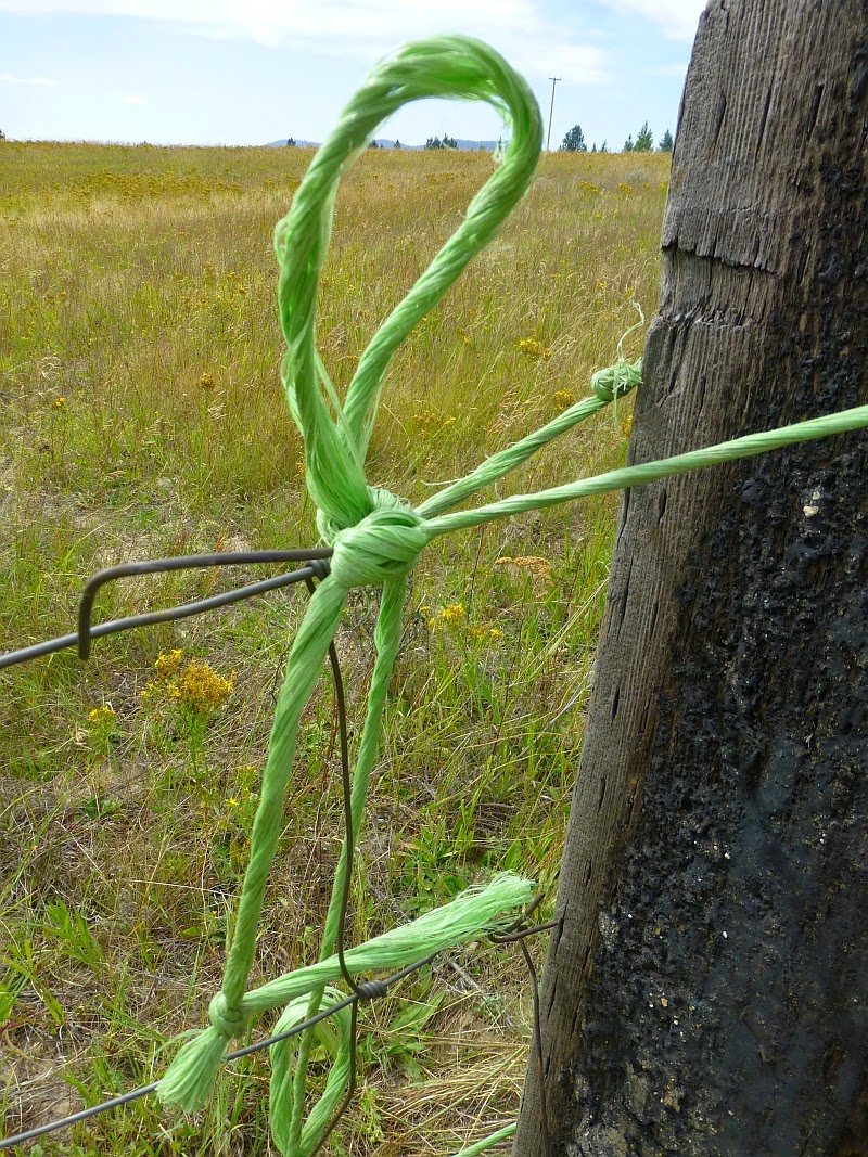 Rural Revolution: The miracle of baling twine