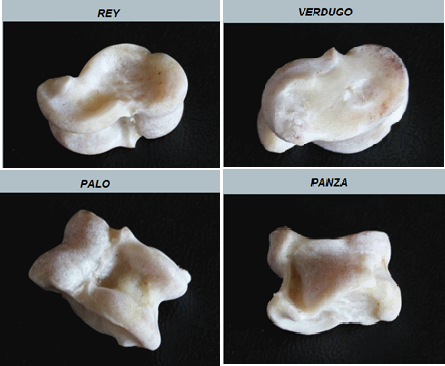 ¿Sabes que...: El Juego de la Taba.