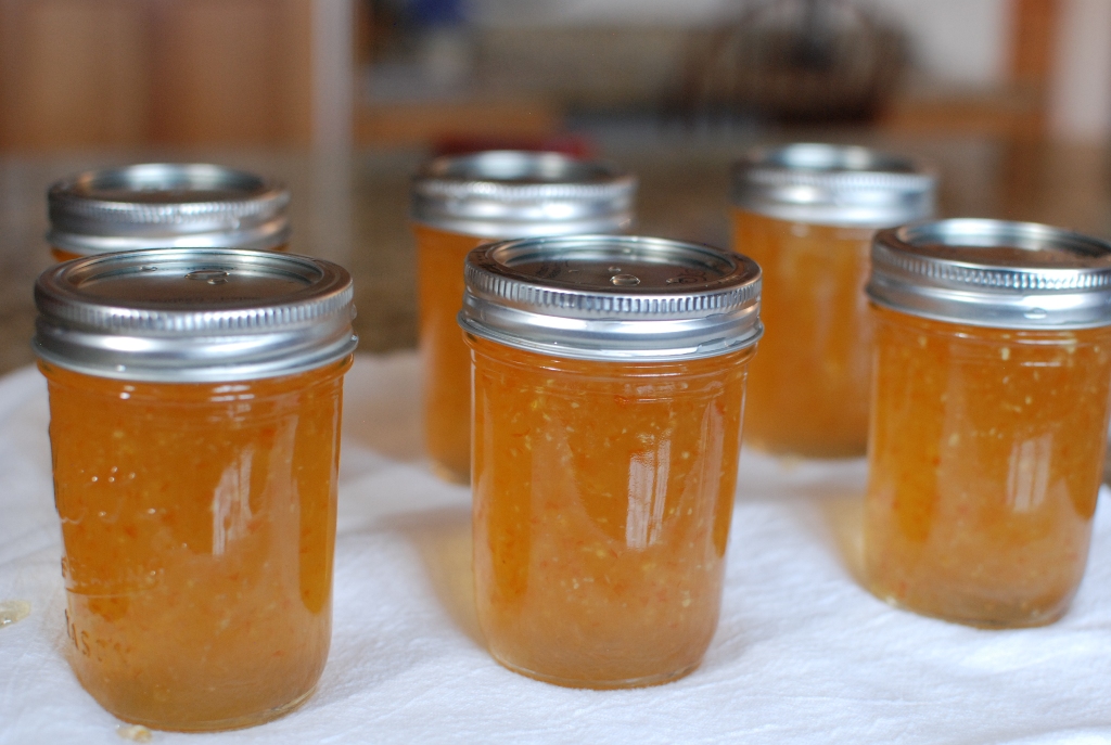 Habanero Ginger Jelly - Simply So Good