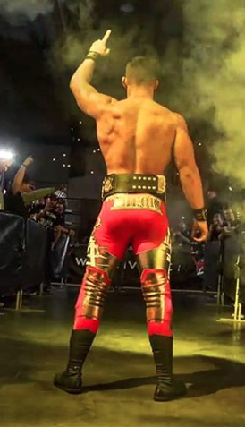 Beefcakes of Wrestling: Muscle Monday : Austin Theory