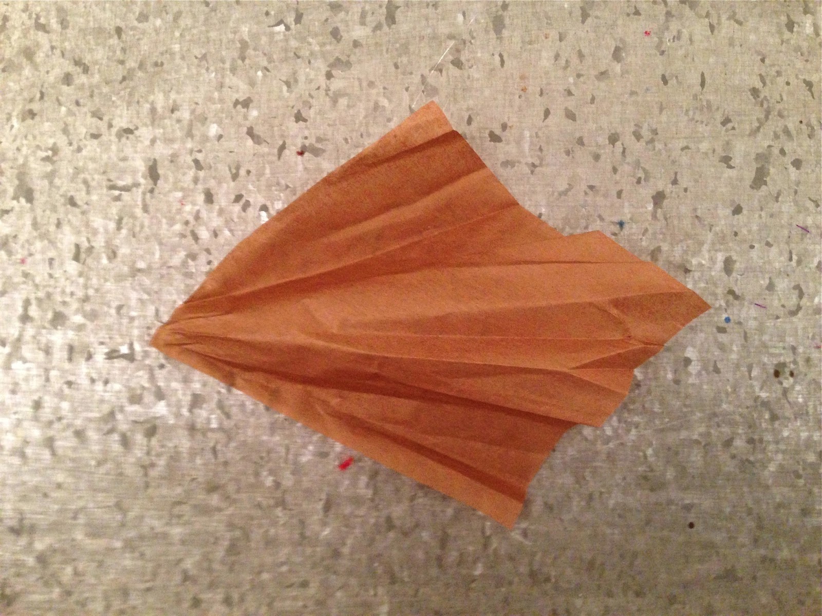 Passover Crafts: Locusts (Schistocerca gregaria)