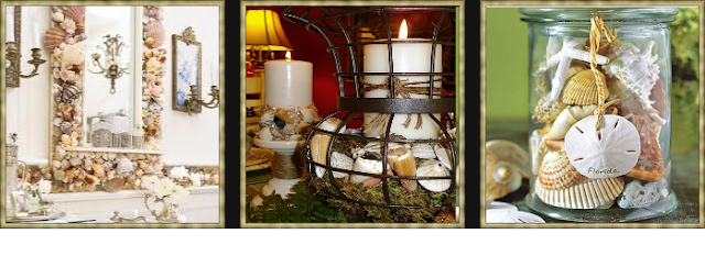 Eye For Design: Great Ways To Display Your Seashell Collection