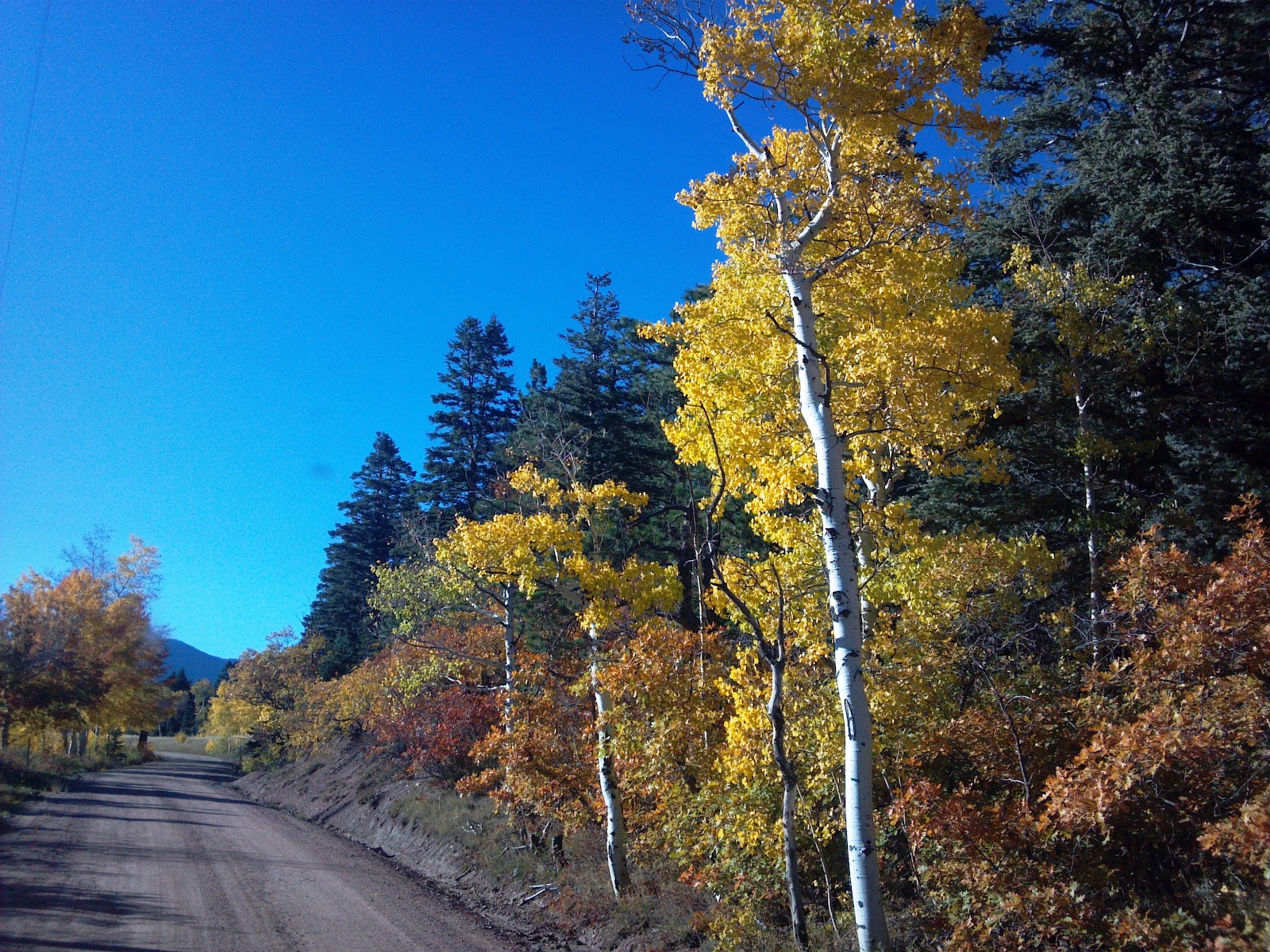 San Isabel Fall 2012 Photo Tour (Aspen, Colorado City: homes, live ...