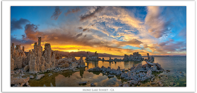 The Gray Report: Interesting views of the USA from an Italian vigneron