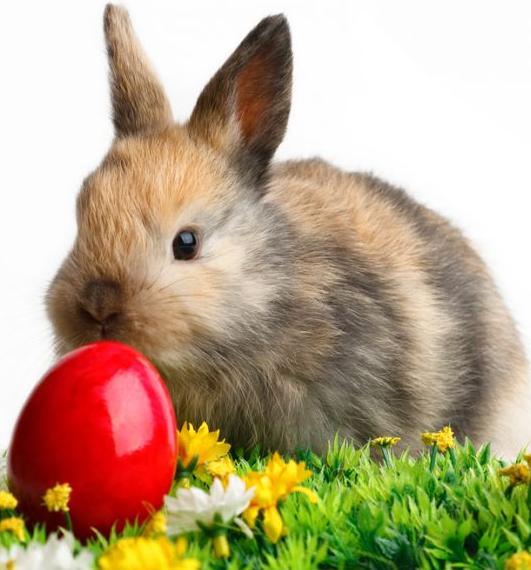 Informaţii cu Măsură: Ce aduce Iepuraşul de Paşti