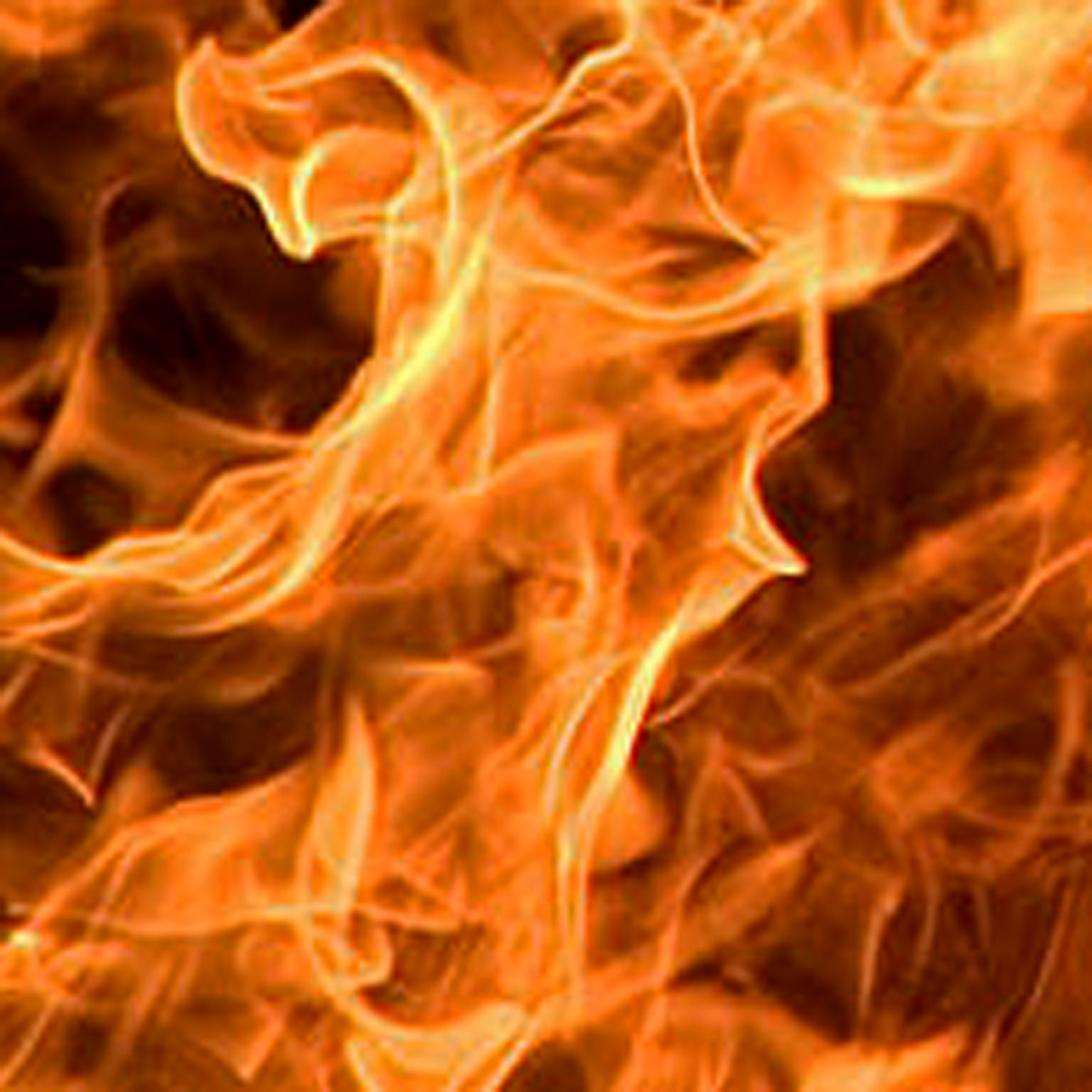 ANDREW CAMPBELL: 07: ANDREW CAMPBELL: BRITISH ARTIST: INSTALLATION ...