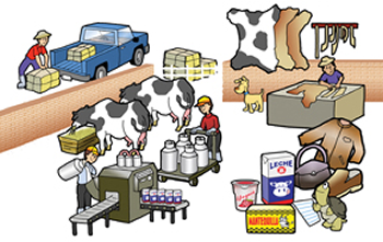 Descifremos la Economia: Actividades: Factores de producción