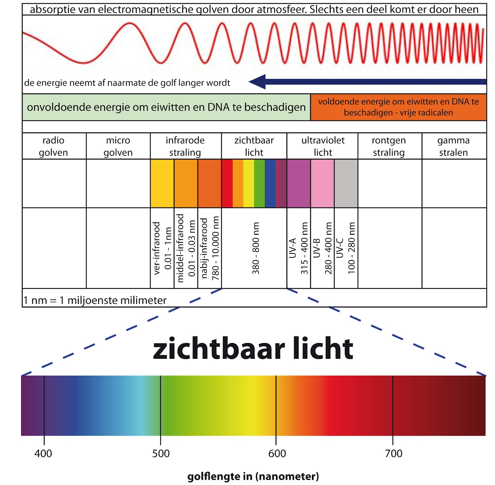 Diobit - Elektronica