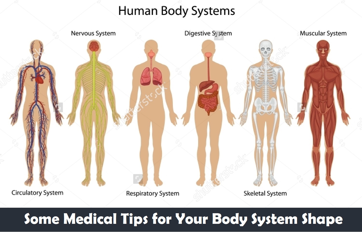 Best Guidelines To Increase Fitness Level: Some Medical Tips for Your ...