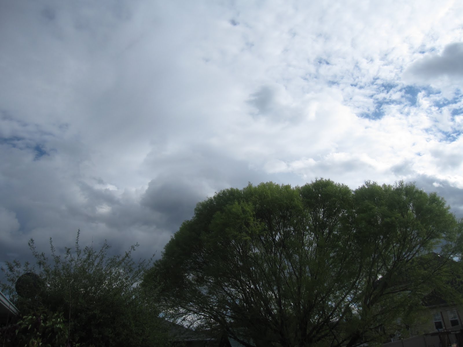 Merkley Adventures: The Sun is Back!