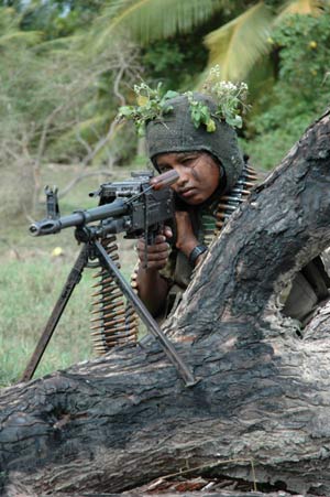 Guerrillas in the Midst: LTTE
