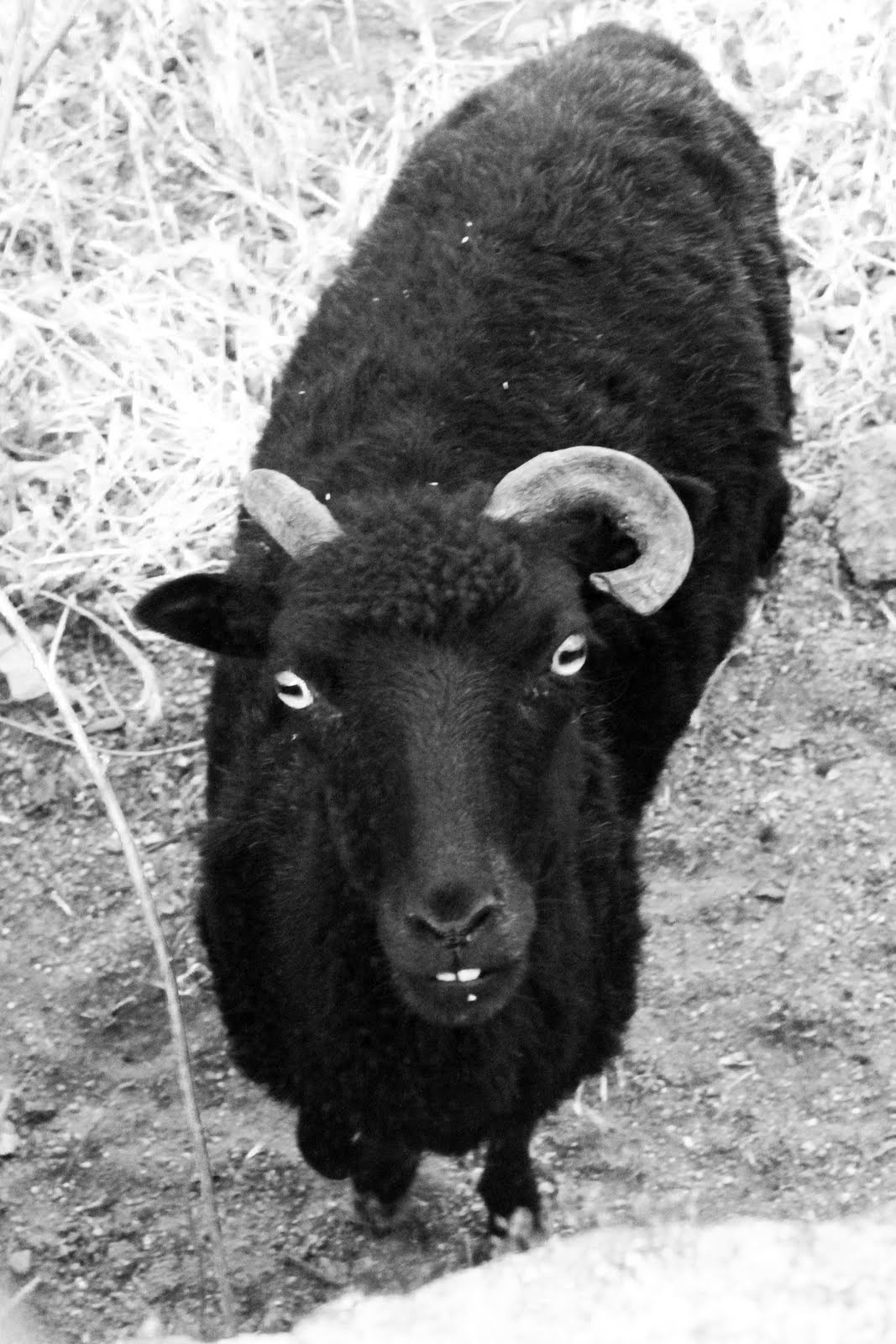 The Cellar Door - Photography: Derp Derp Goat