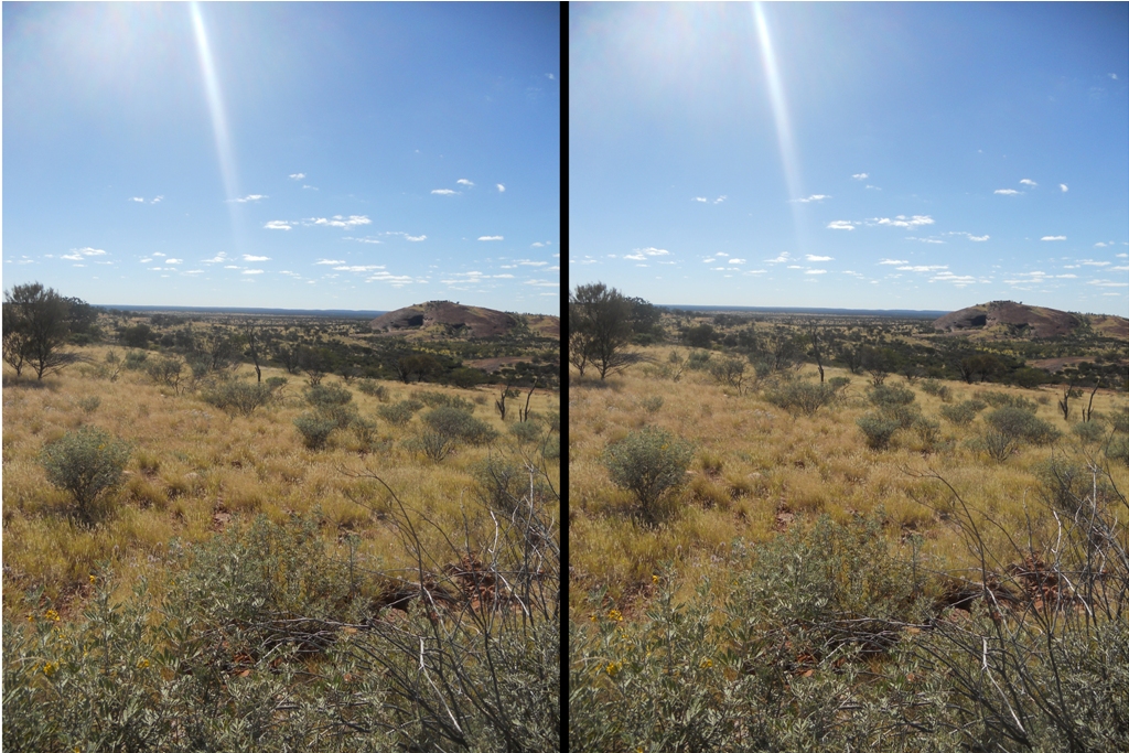 The Unheroic Journey: Adam's Adventures in Oz: Surviving in the Post ...