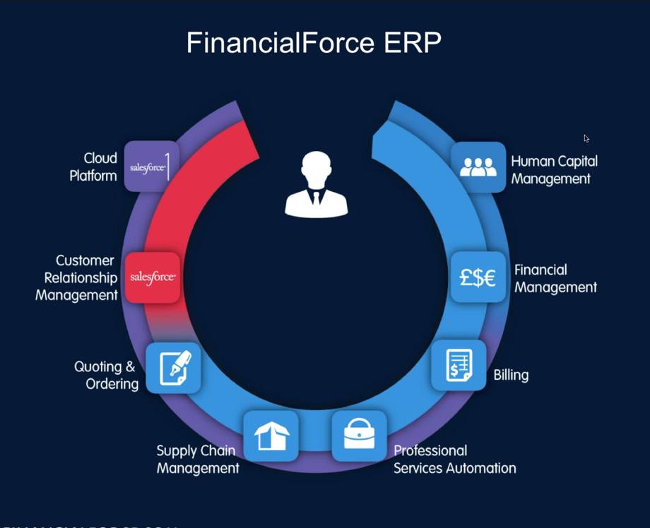 The Enterprise Spectator: The Cloud ERP Land Rush